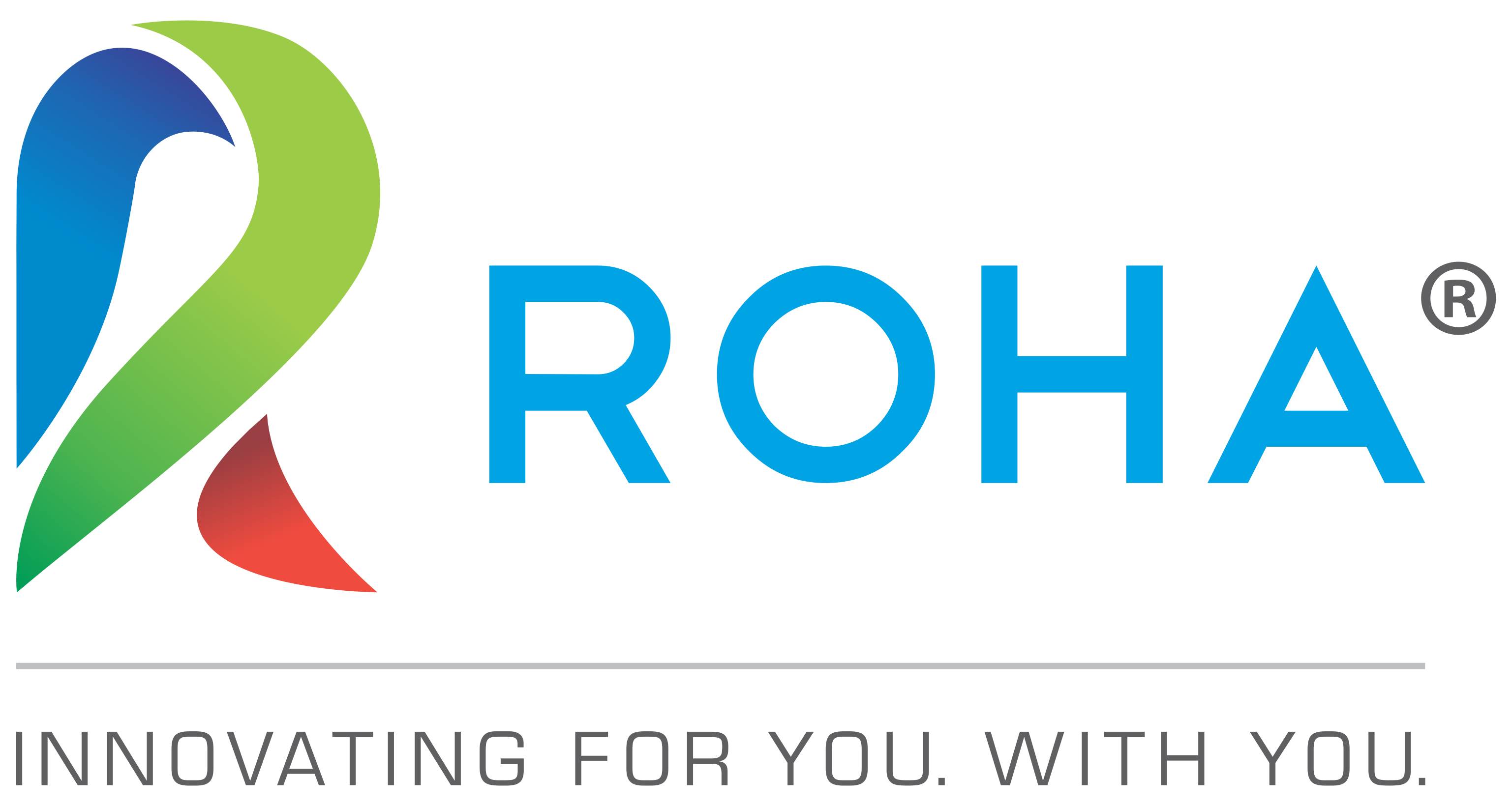 About Roha Dyechem Pvt Ltd